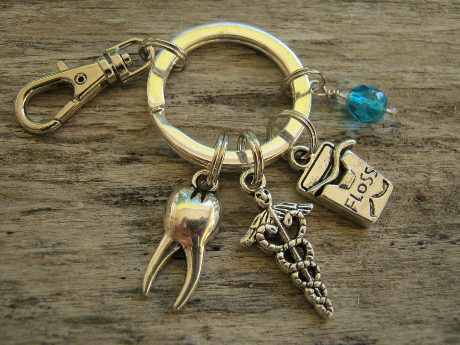 Dentist Keychain DDS Dental Zipper Pull Caduceus | Etsy