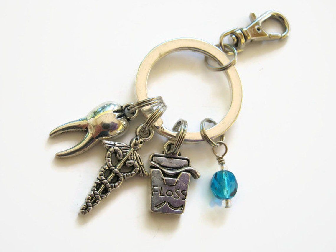 Dentist Keychain DDS Dental Zipper Pull Caduceus | Etsy