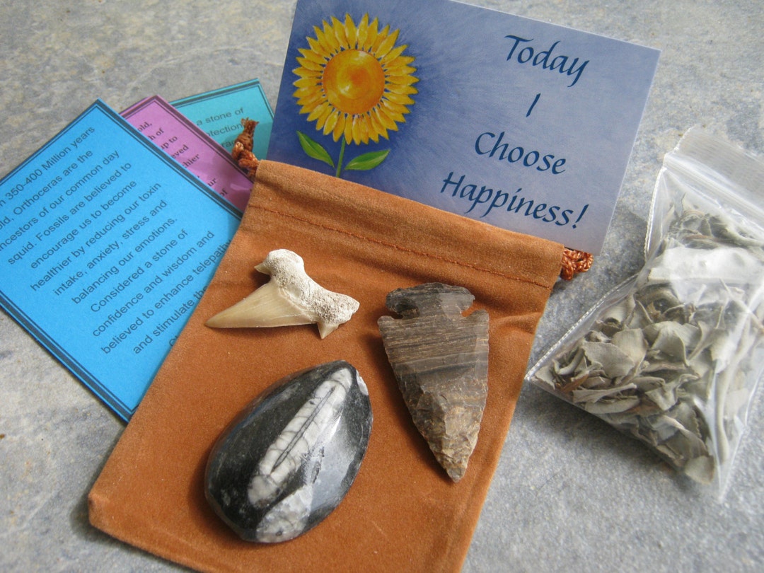 Instant Fossil Set, Instant Fossil Collector Kit, Orthoceras ...