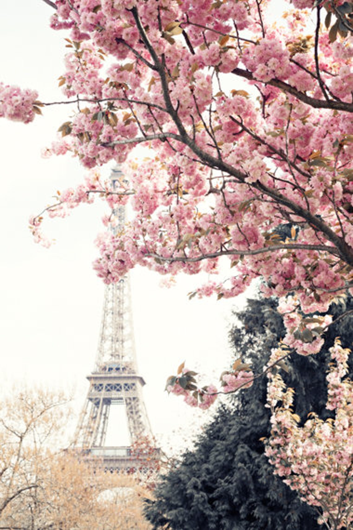 Paris Photography Prints Extra Large Wall Art Prints Travel - Etsy