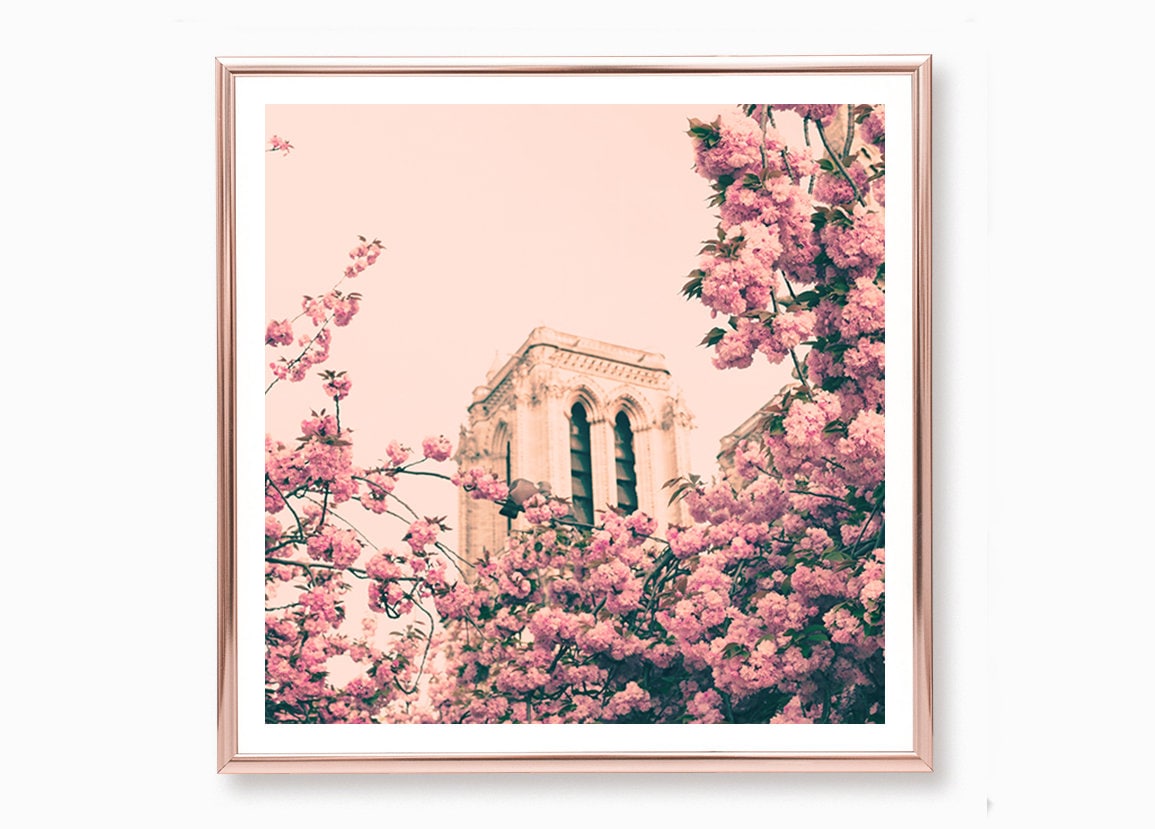 Blush Pink Wall Art Paris Prints Travel Photography Paris | Etsy