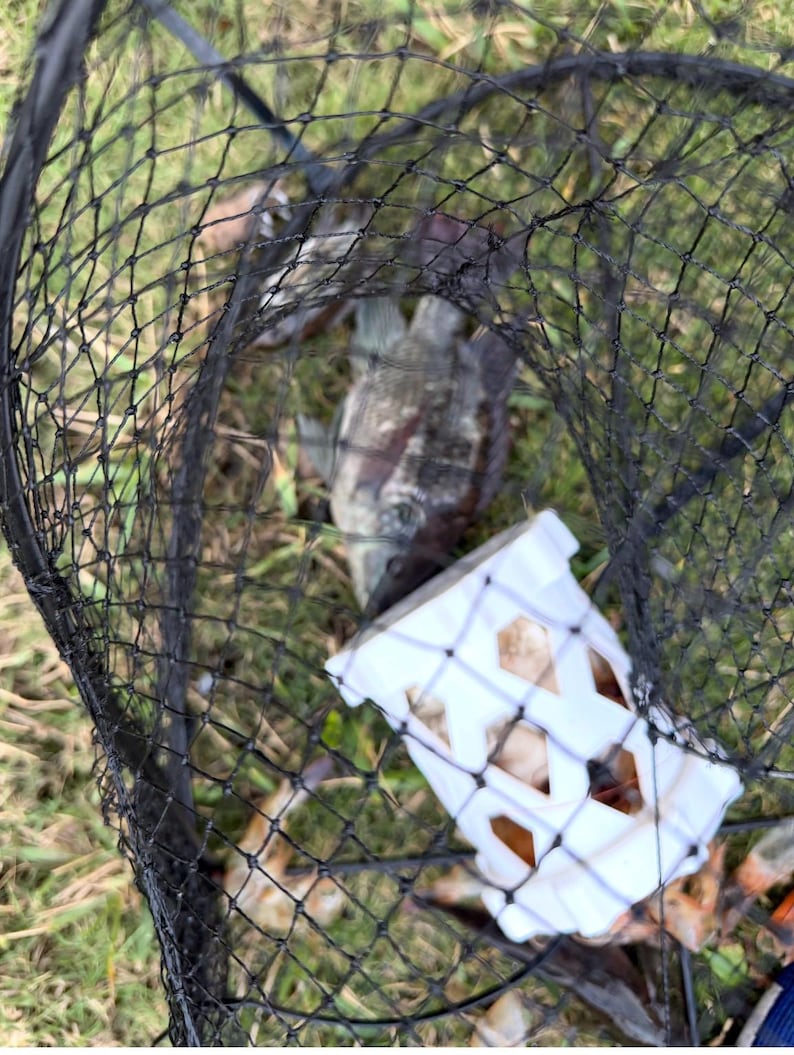 Hawaii Made 3D Printed Fishing Bait Box for Crab Lobster and Fish Traps ...