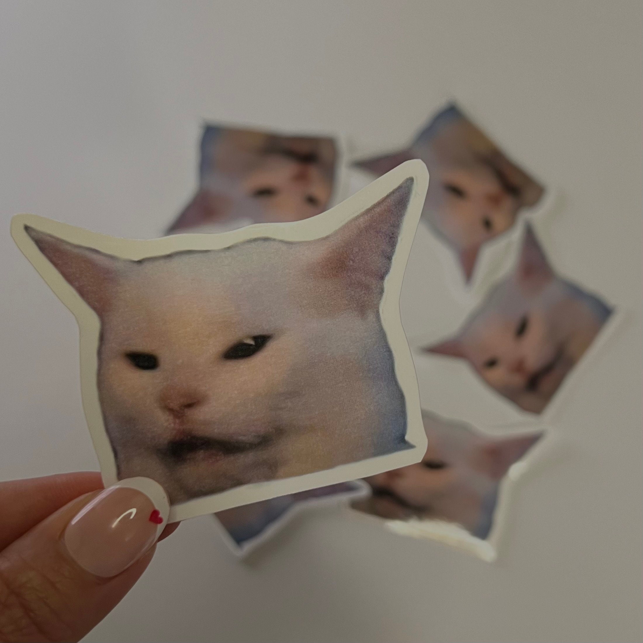 Smudge Cat Dinner Meme Sticker - Etsy