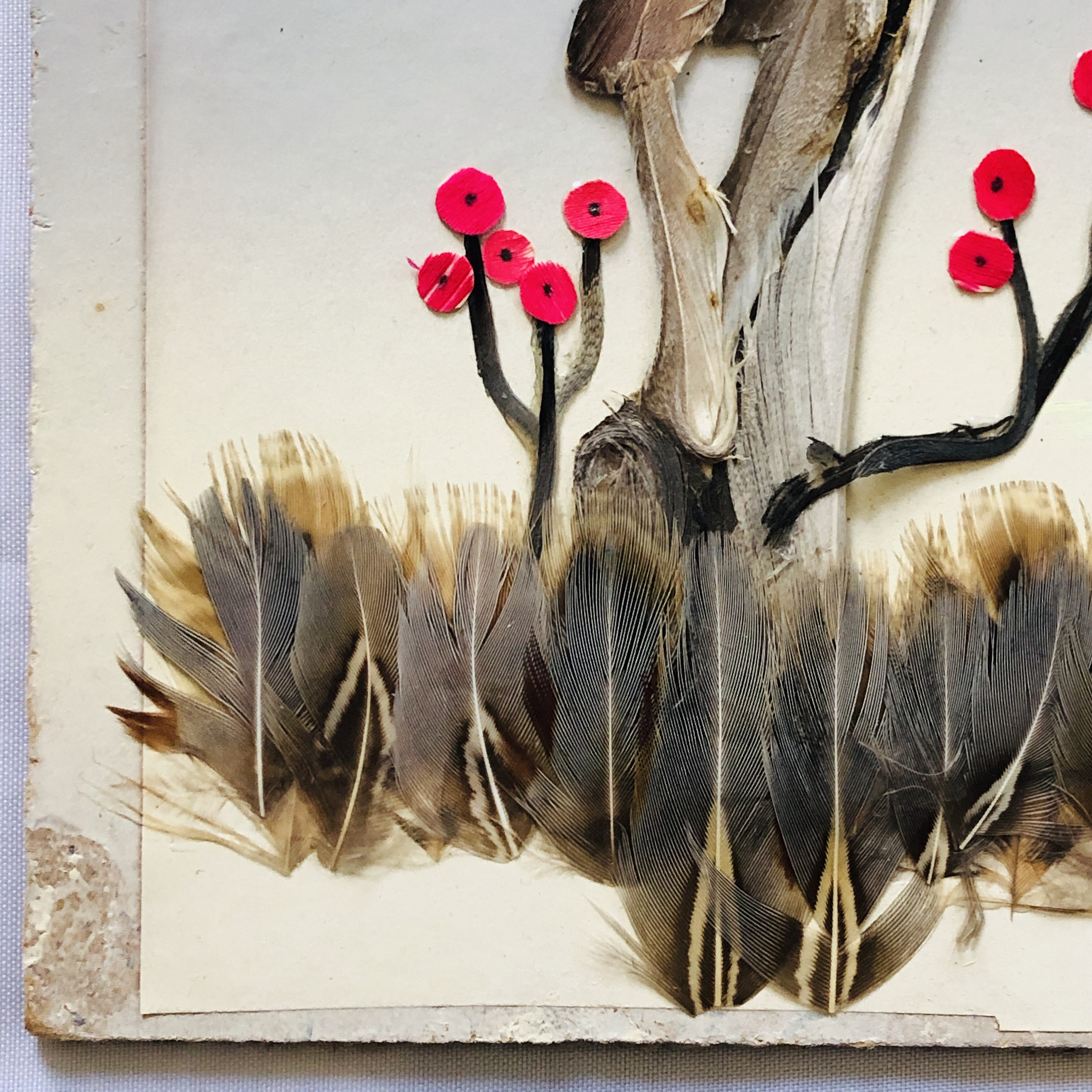 Bird Feather Art Assemblage Collage Parrot Vintage Unframed 9 X 7.75 In ...