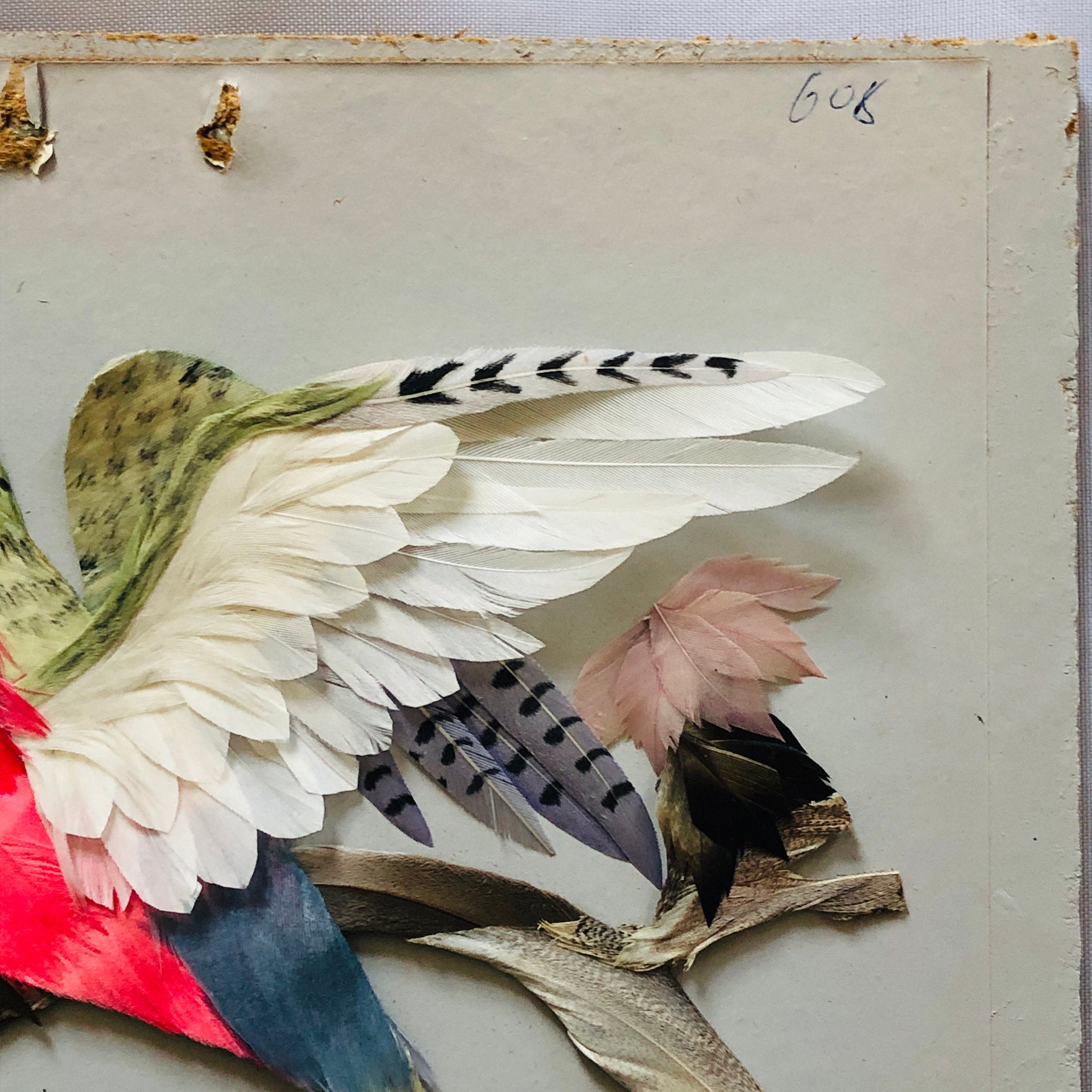 Bird Feather Art Assemblage Collage Parrot Vintage Unframed 9 X 7.75 In ...