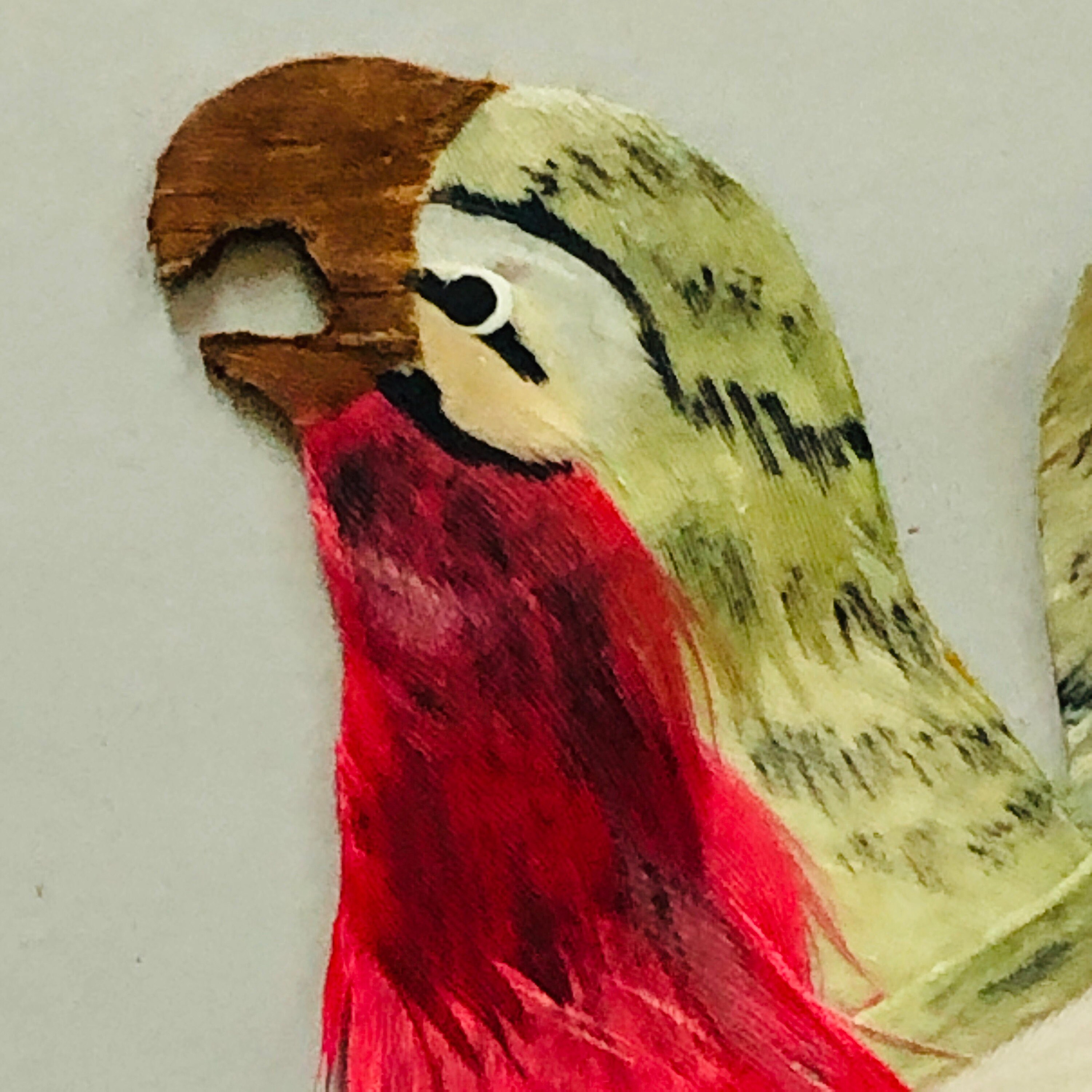 Bird Feather Art Assemblage Collage Parrot Vintage Unframed 9 X 7.75 In ...