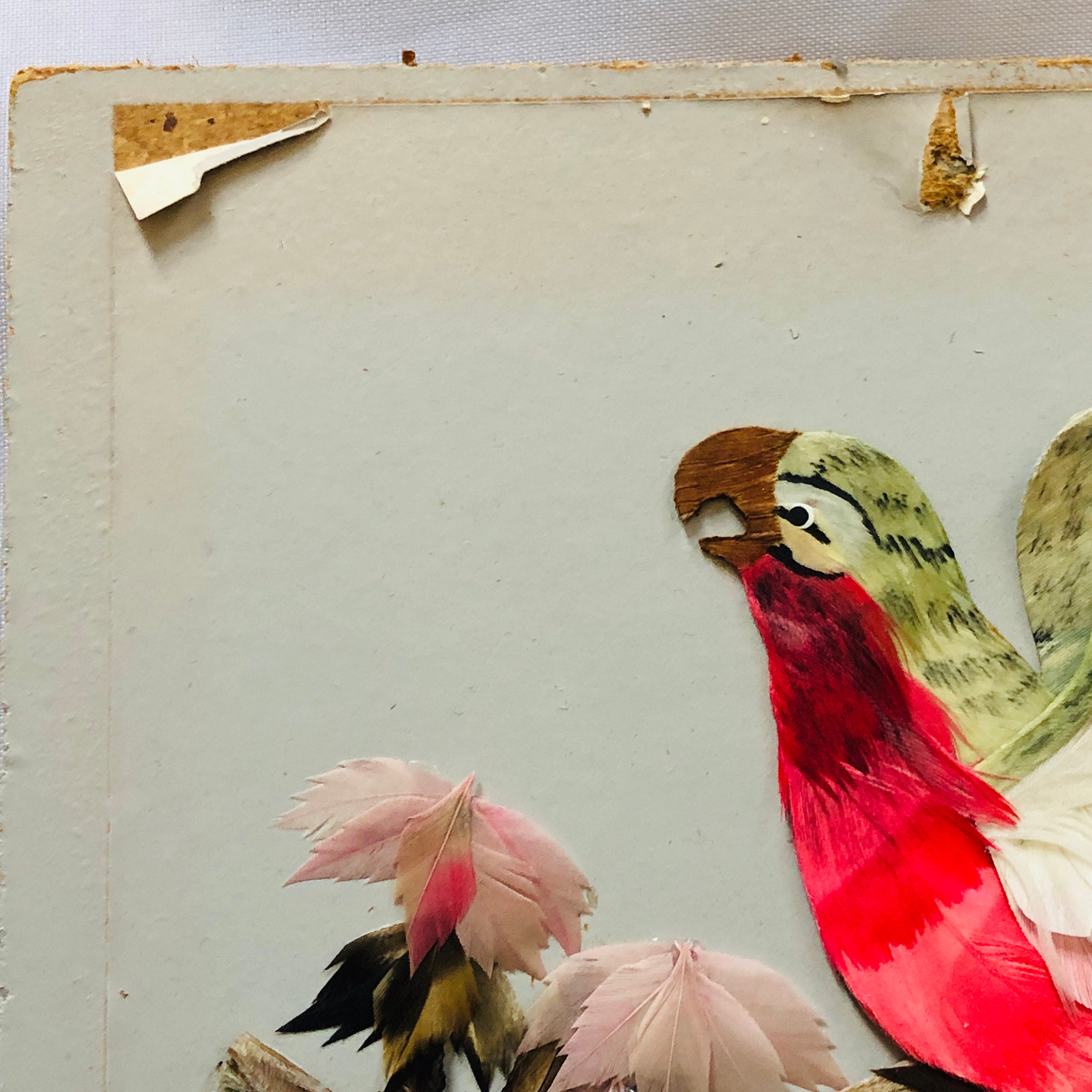 Bird Feather Art Assemblage Collage Parrot Vintage Unframed 9 X 7.75 In ...