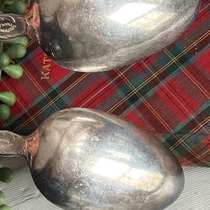 R Wallace 1835 Floral Hibiscus Serving Spoons Set of 2 * Silver ...