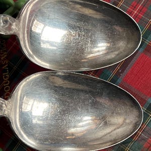R Wallace 1835 Floral Hibiscus Serving Spoons Set of 2 * Silver ...