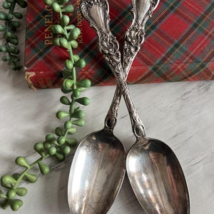 R Wallace 1835 Floral Hibiscus Serving Spoons Set of 2 * Silver ...