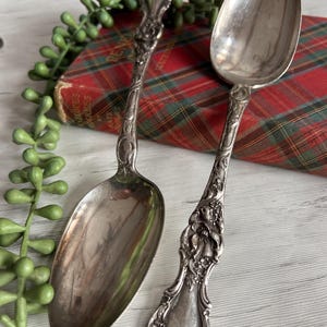 R Wallace 1835 Floral Hibiscus Serving Spoons Set of 2 * Silver ...