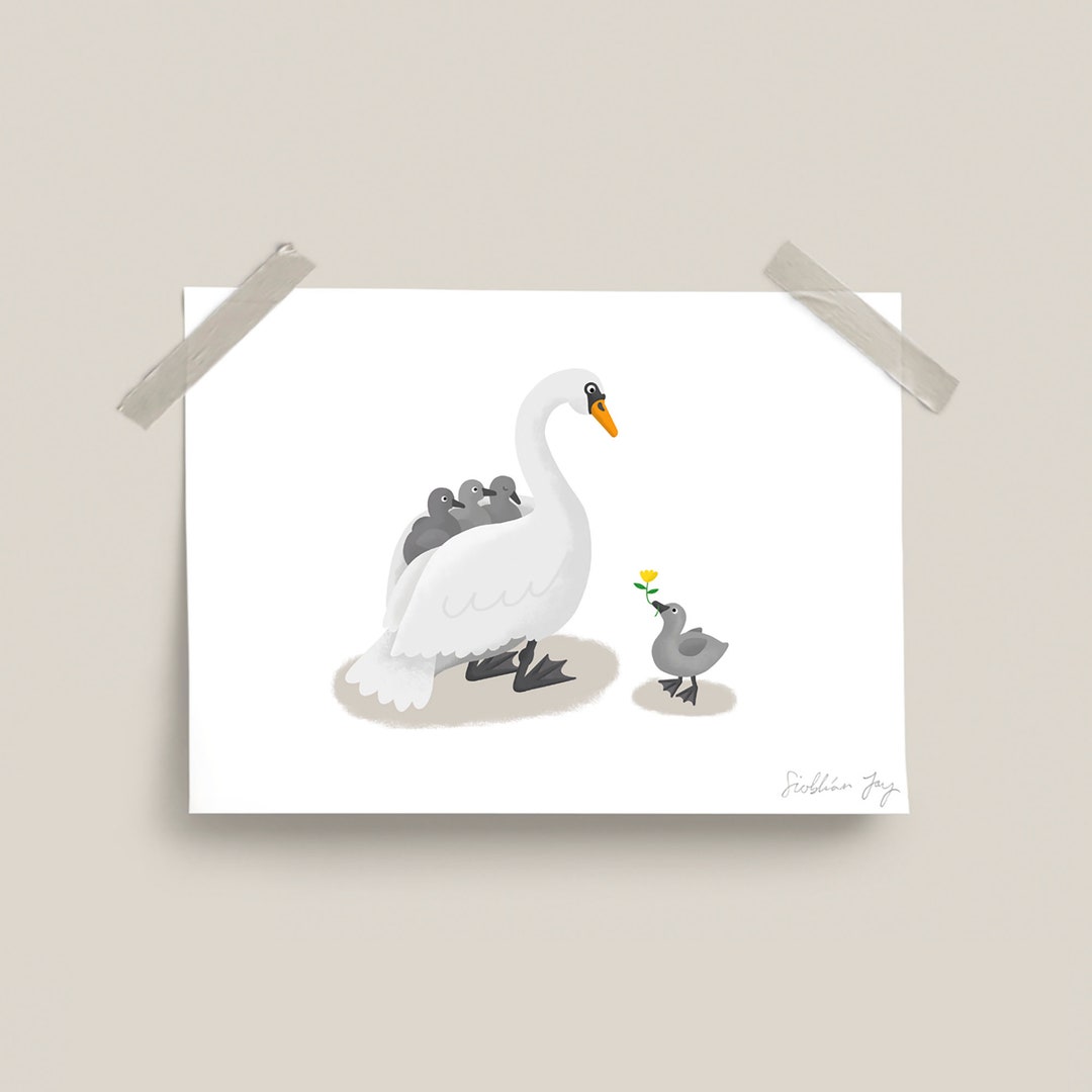 Swan Print, Cygnets Print, Cute Swans Poster, Cygnets Illustration ...
