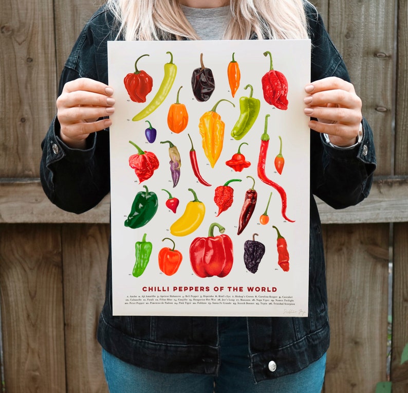 Chilli Peppers of the World Giclee Print – Kitchen Food Art - Etsy