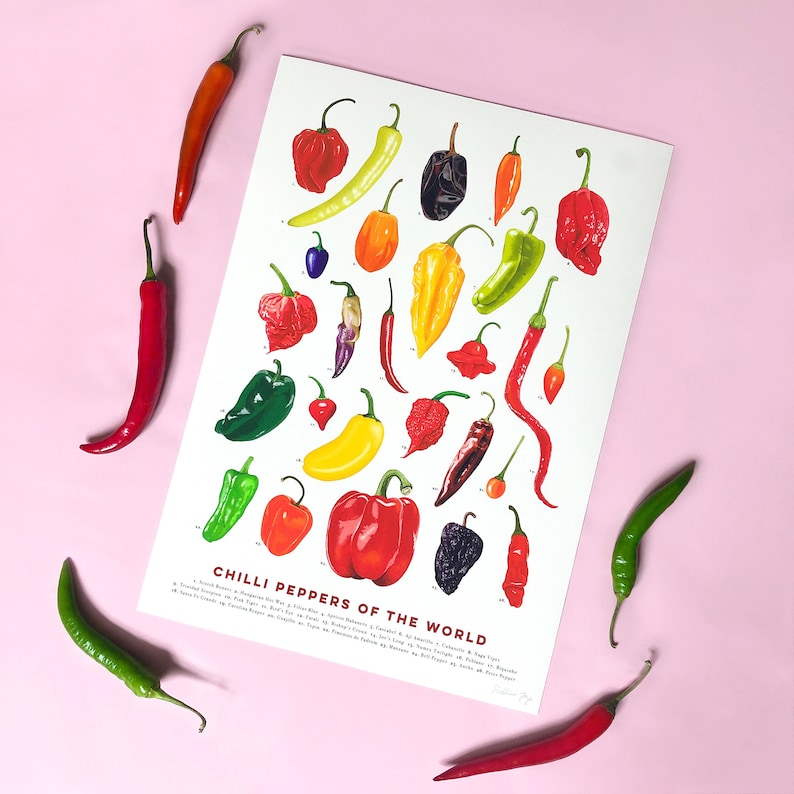 Chilli Peppers of the World Giclee Print – Kitchen Food Art - Etsy
