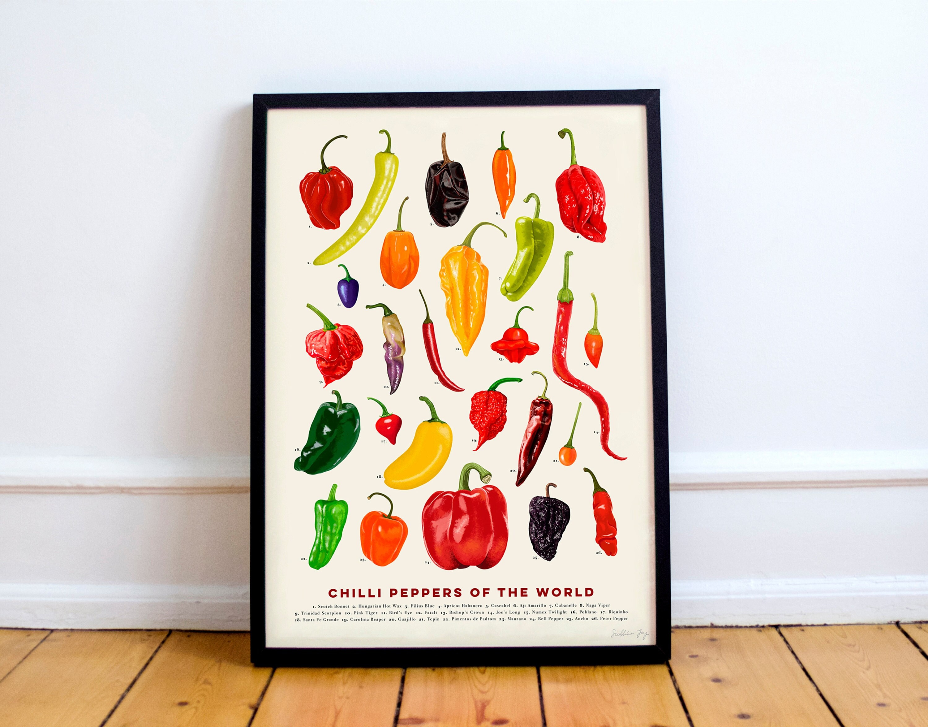 Chilli Peppers of the World - Giclee Print, Chilli Peppers Guide, Chili ...