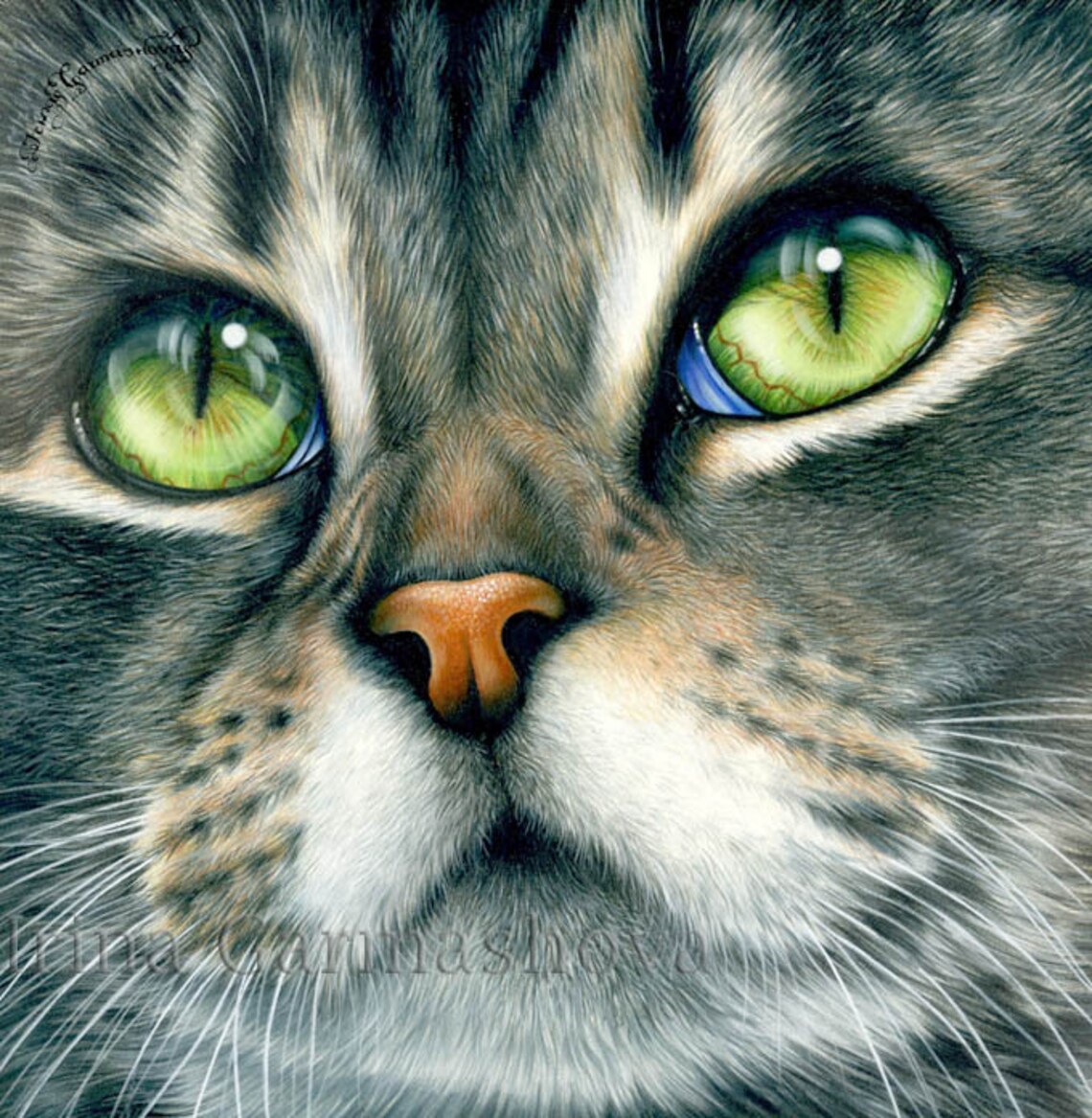 Tabby Cat Print Close Definition by Irina Garmashova | Etsy