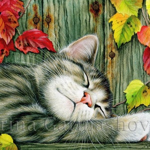 Tabby Cat Print Sweet Chap by Irina Garmashova - Etsy Portugal