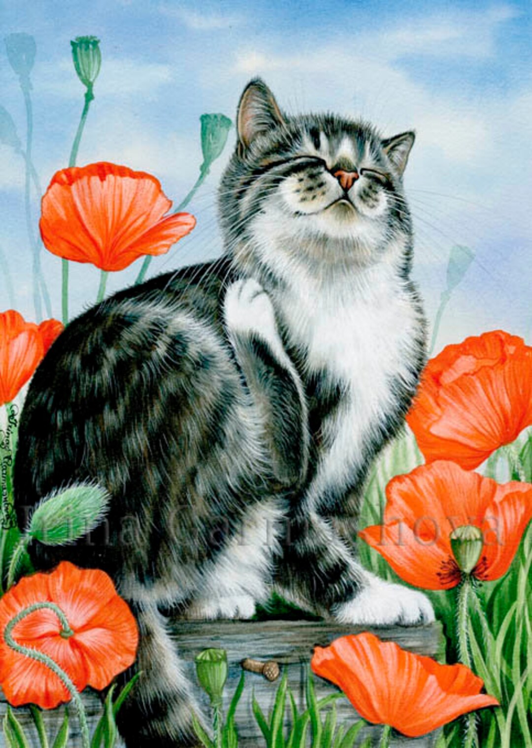 Tabby Cat Print Field Poppies by Irina Garmashova - Etsy