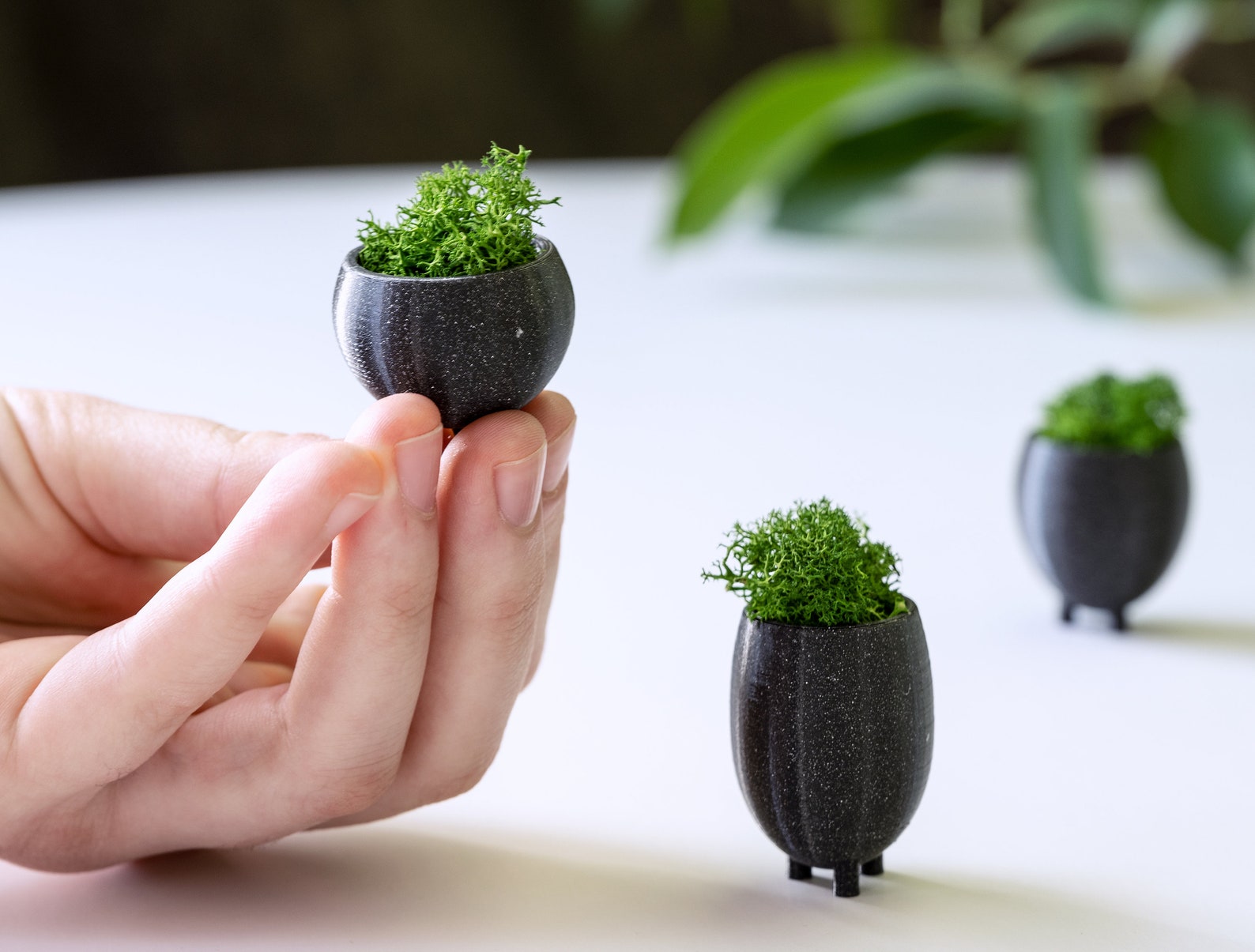 Miniature Moss Bowl Set of 3 Fairy Garden Decor Zen Garden | Etsy