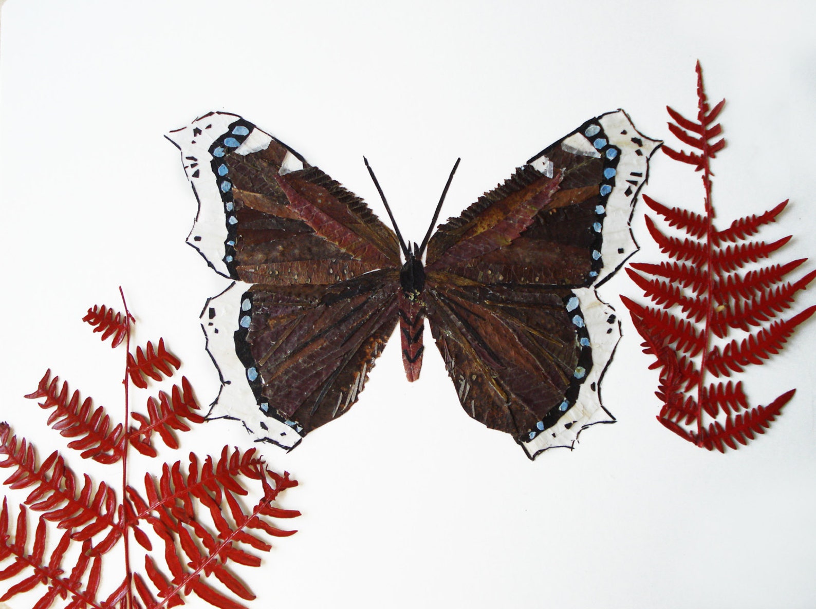 Pressed Flowers Butterfly Art Dried Flowers Wall Art Decor - Etsy