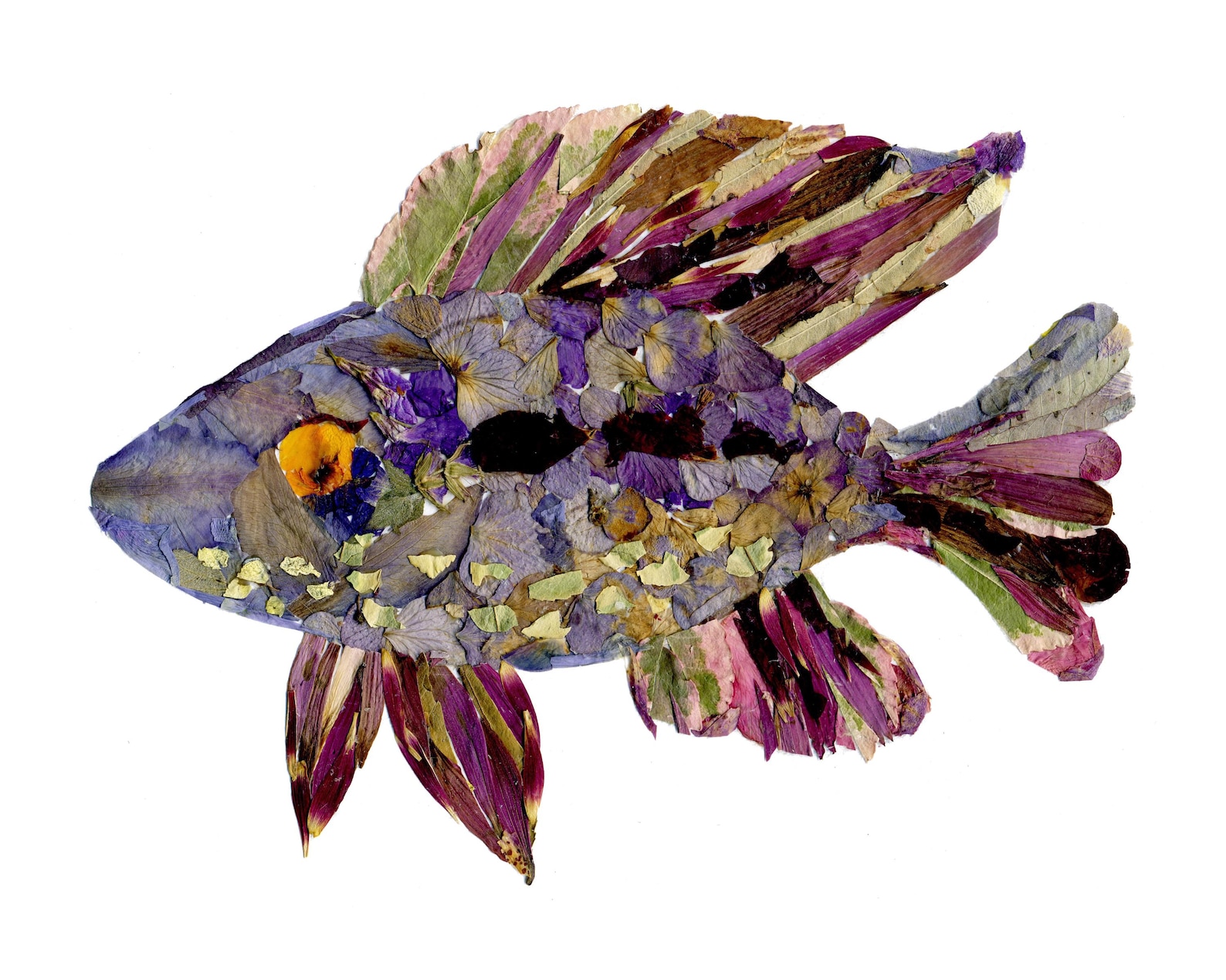 Pressed Flower Fish Art Print: Botanical Collage, Ocean Decor - Etsy