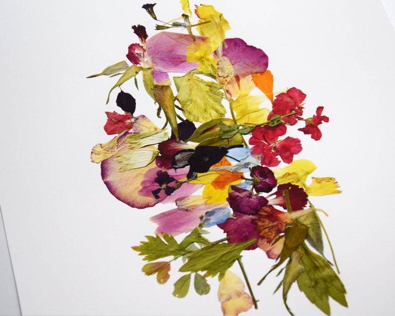 Set of Pressed Flowers Prints 11x14 Botanicals Prints Herbarium Pressed ...
