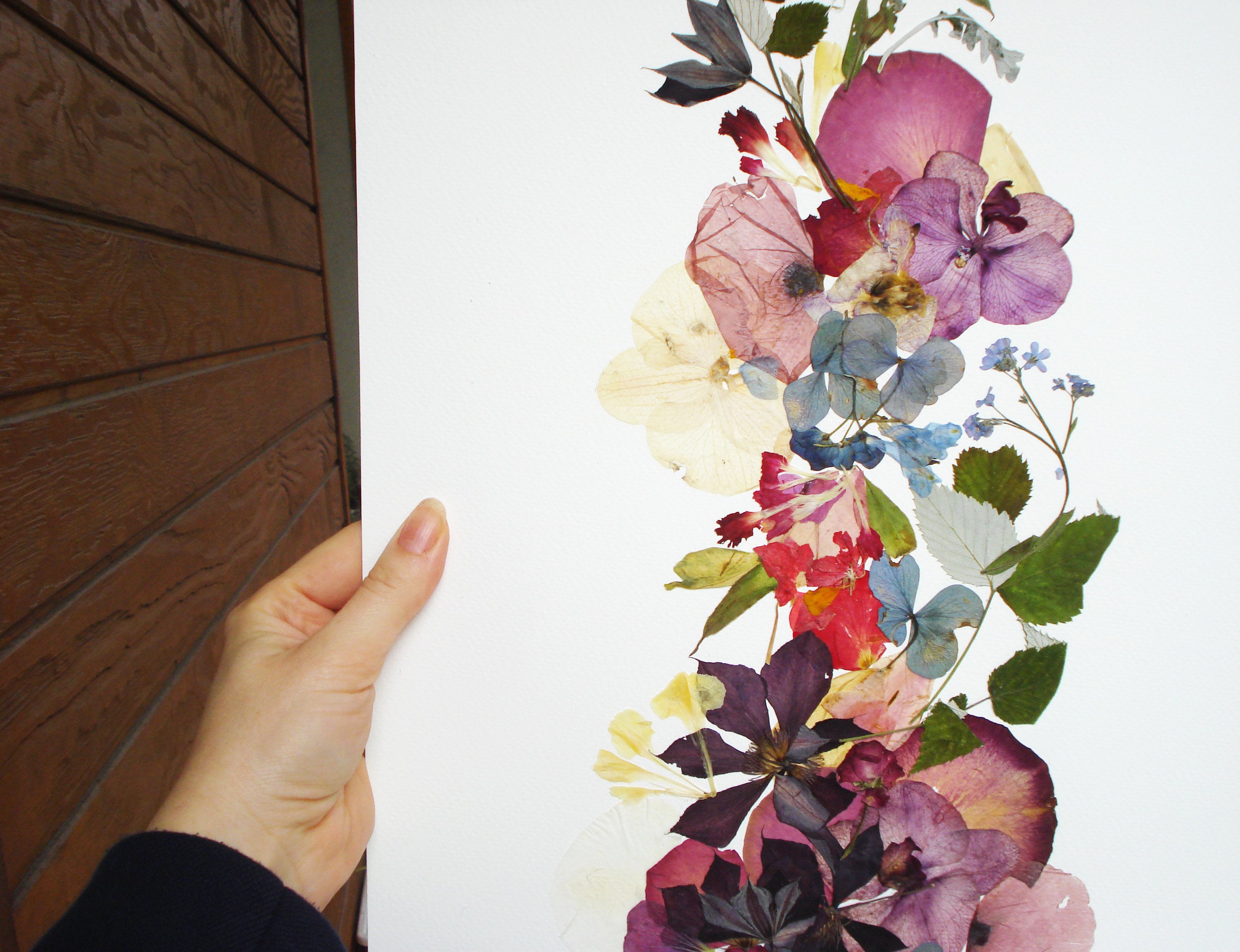 Set of 3 flowers prints plant art Botanical print set Floral | Etsy