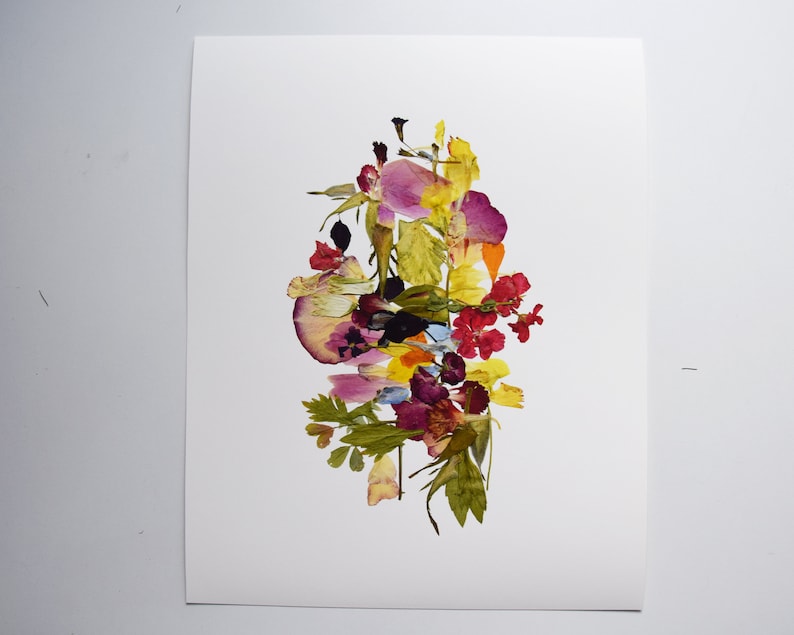 Set of Pressed Flowers Prints 11x14 Botanicals Prints Herbarium Pressed ...