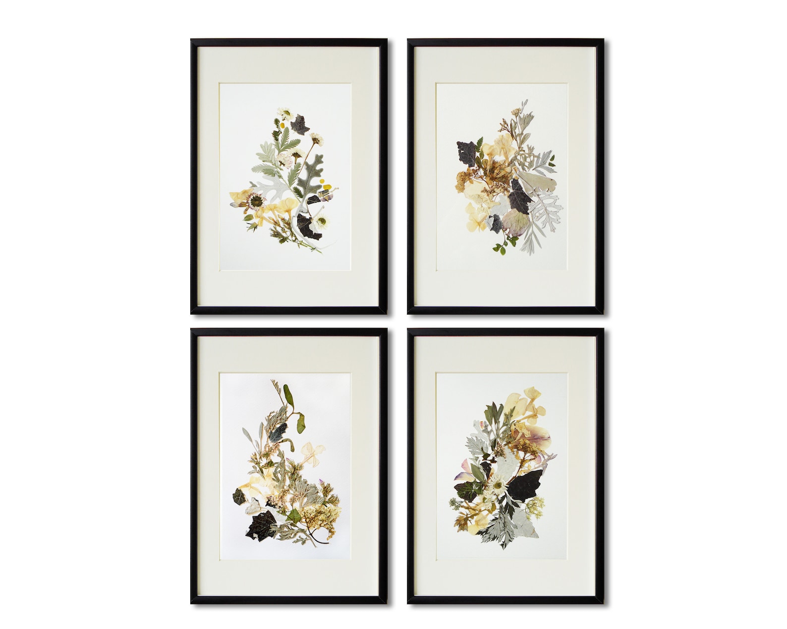 Framed Botanical Print Set Pressed Flower Art Herbarium Flower Prints ...