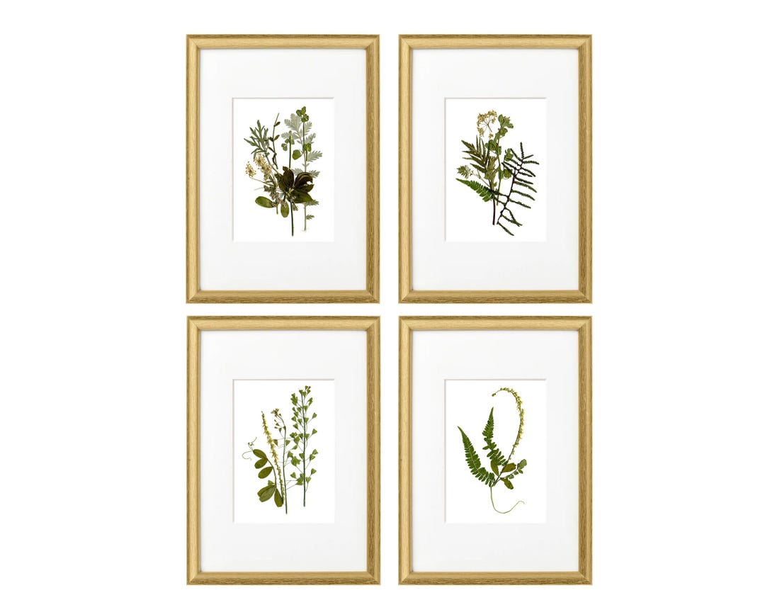 Framed Botanical Prints Set: Gold Frame Herbarium Art - Etsy