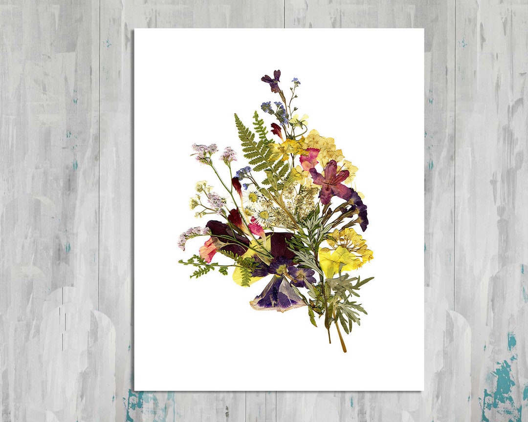 Botanical Print Pressed Plant Print Wall Art Pressed Plants Pressed ...