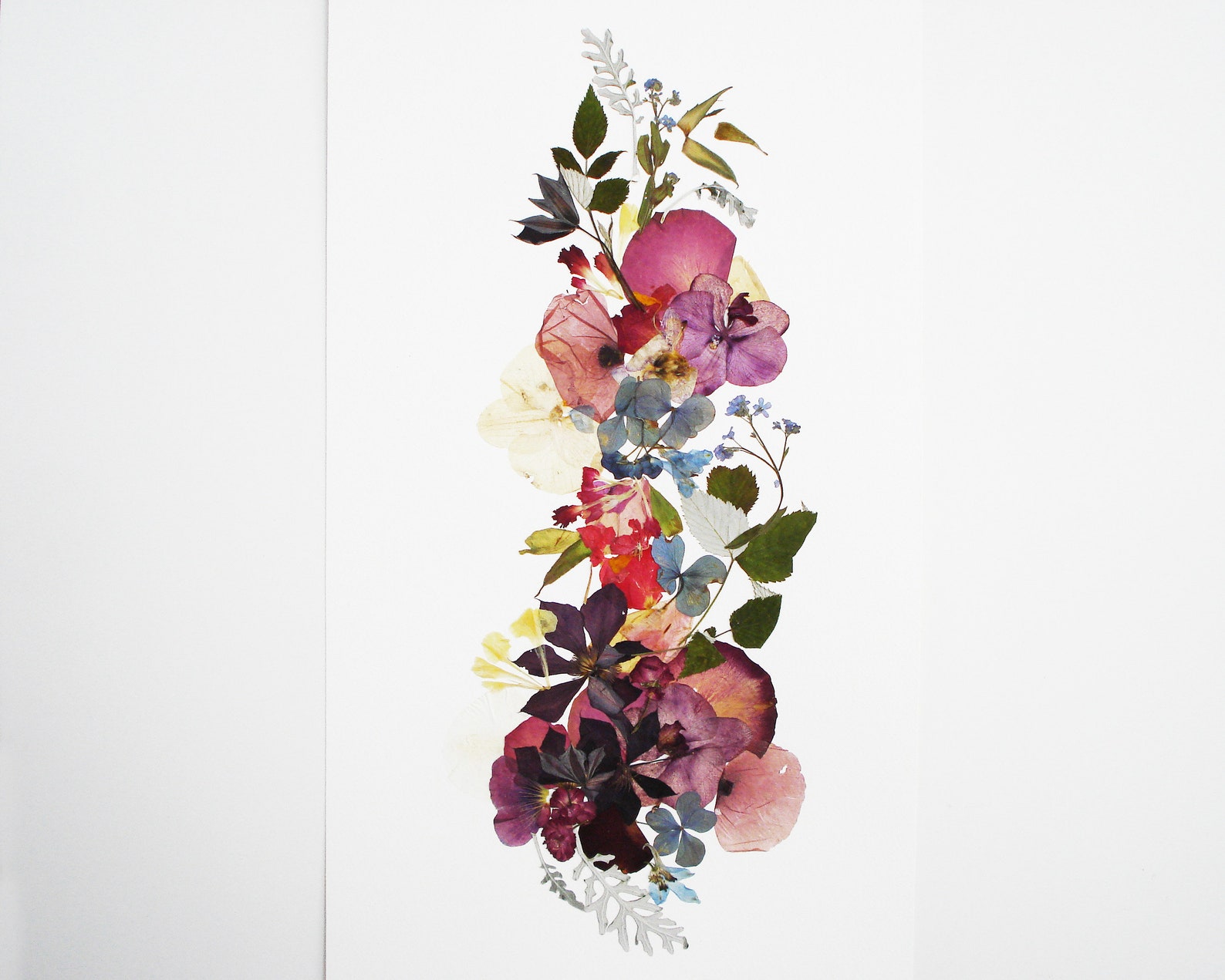 Buy Botanical Art Flower Set of 3, Nature Prints, Pressed Flower Prints ...