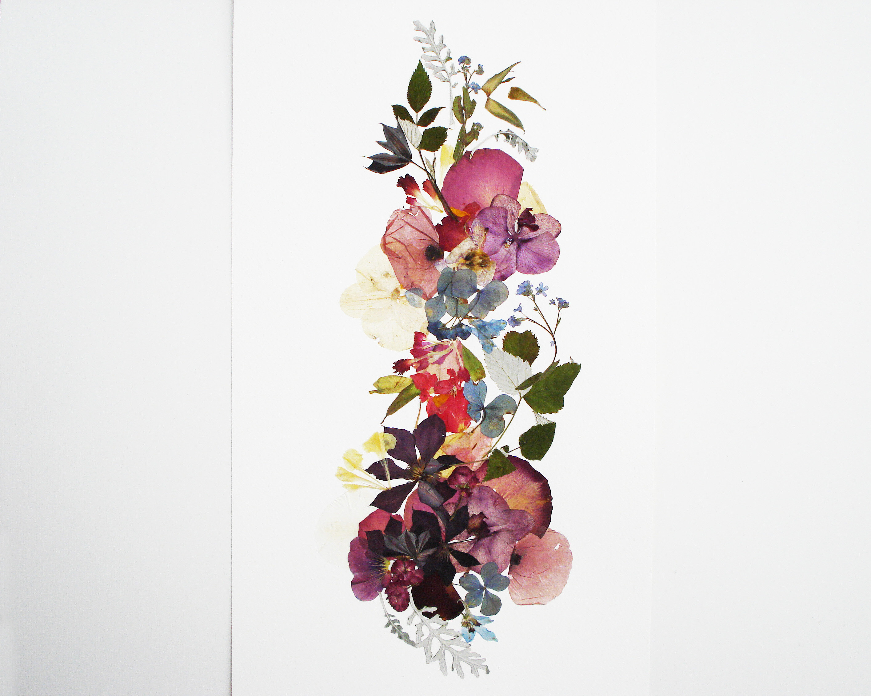 Set of 3 flowers prints plant art Botanical print set Floral | Etsy