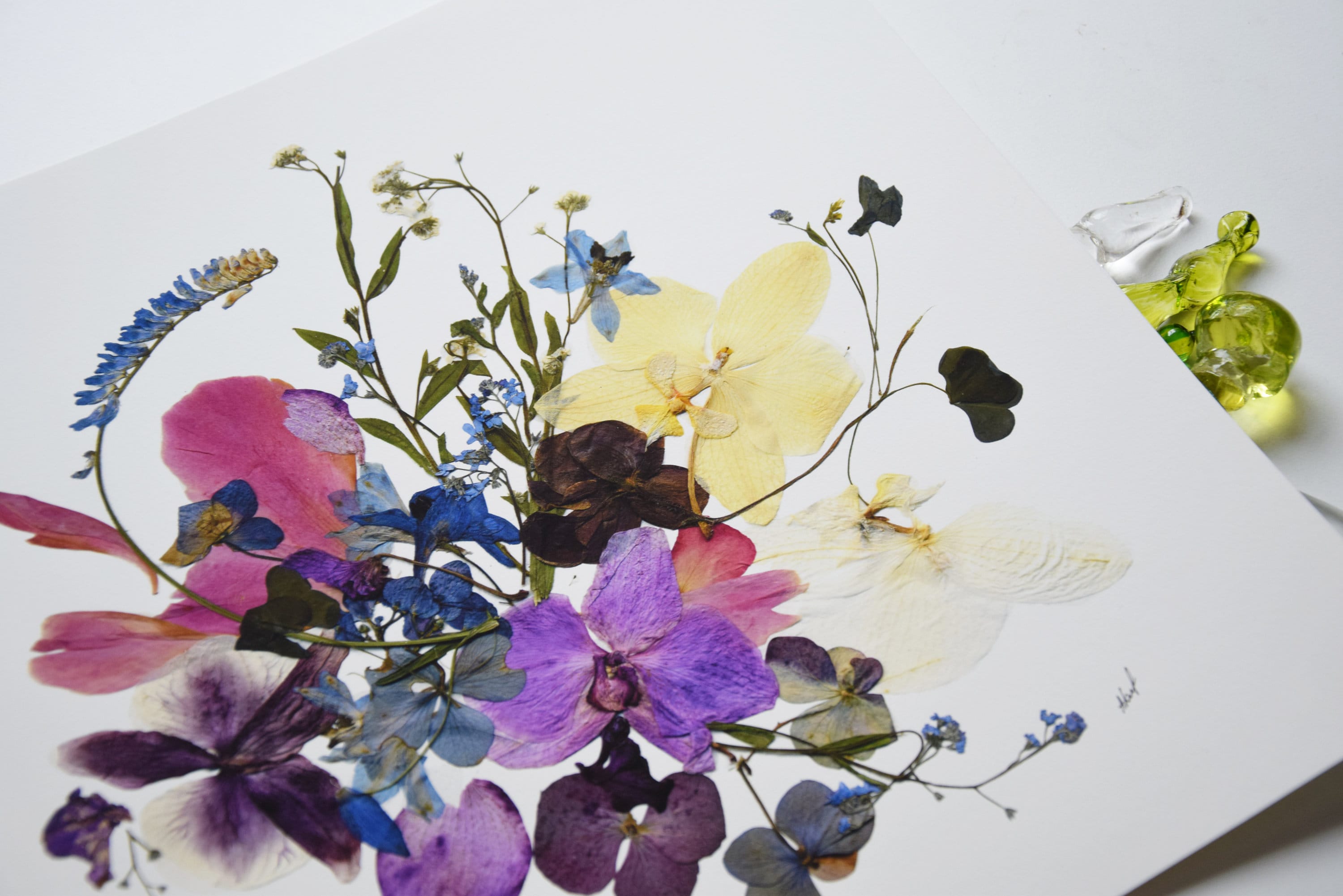 Floral print wall art Botanical print Floral picture Pressed | Etsy