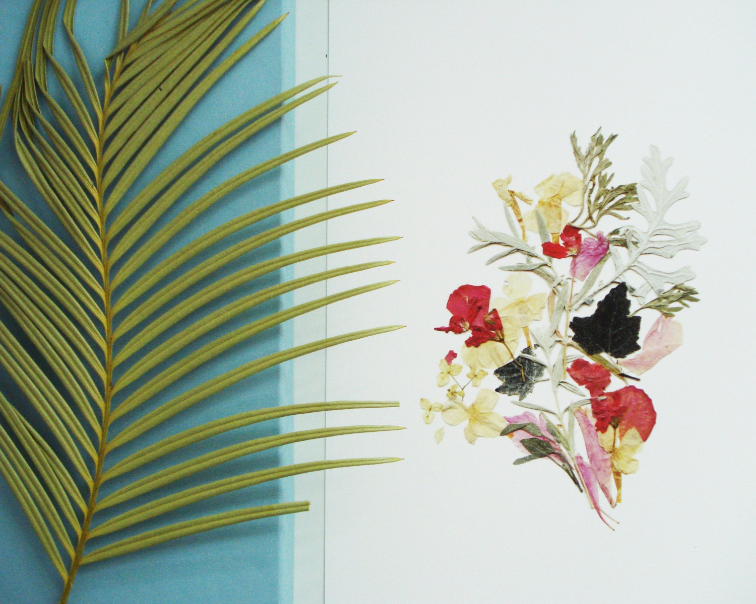 Flower print pressed flowers print Botanical print Dried | Etsy