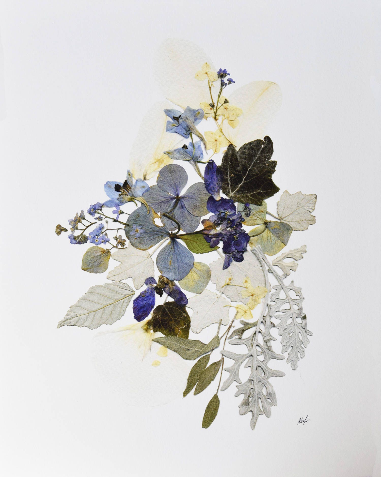 Pressed flower prints Set of 2 prints Contemporary art Dry | Etsy