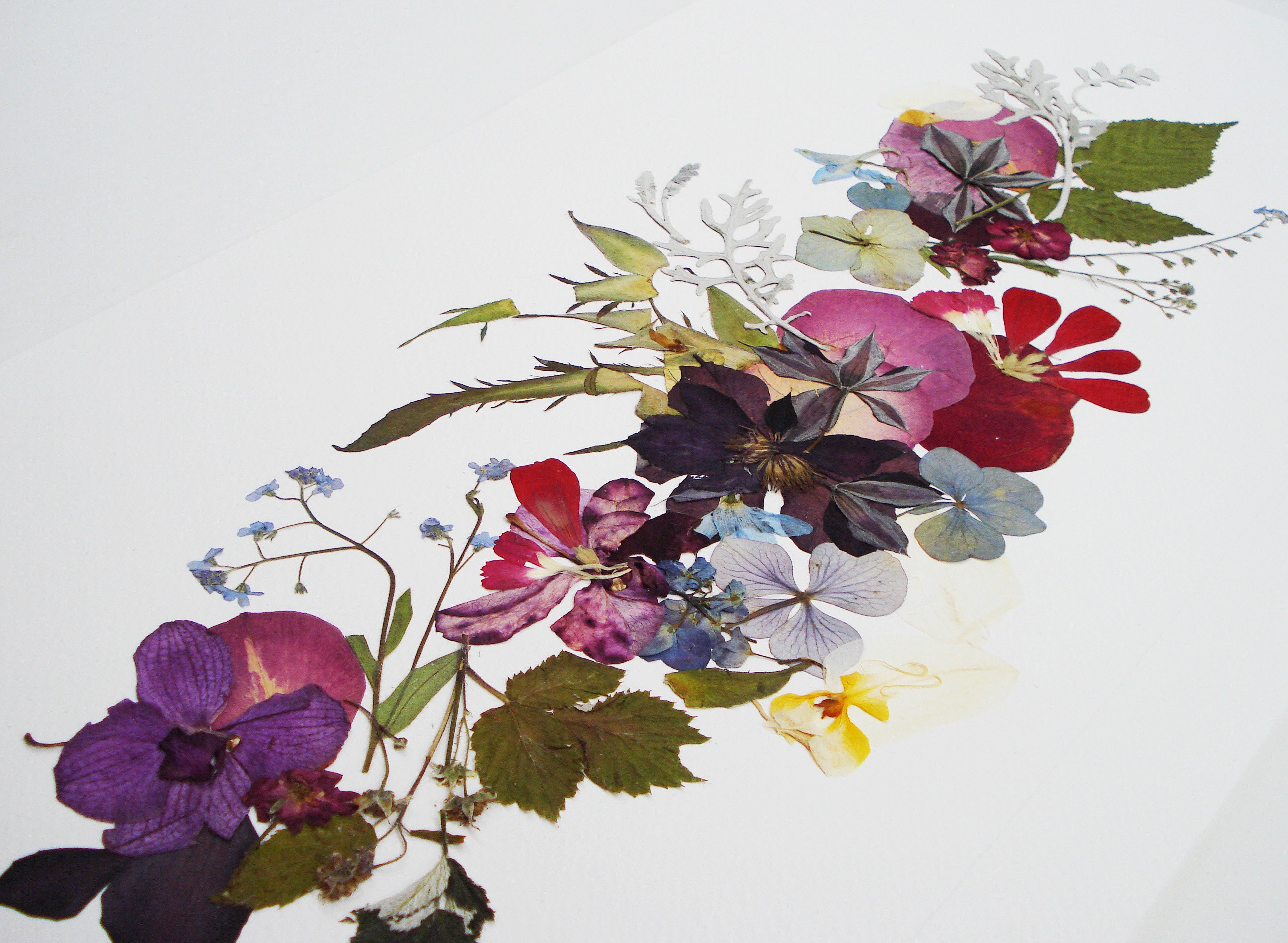 Framed Set of 2 prints plant art Botanical print set Floral | Etsy