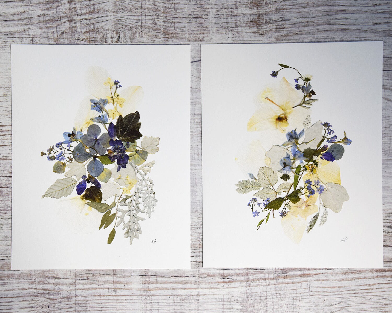 Pressed flower prints Set of 2 prints Contemporary art Dry | Etsy