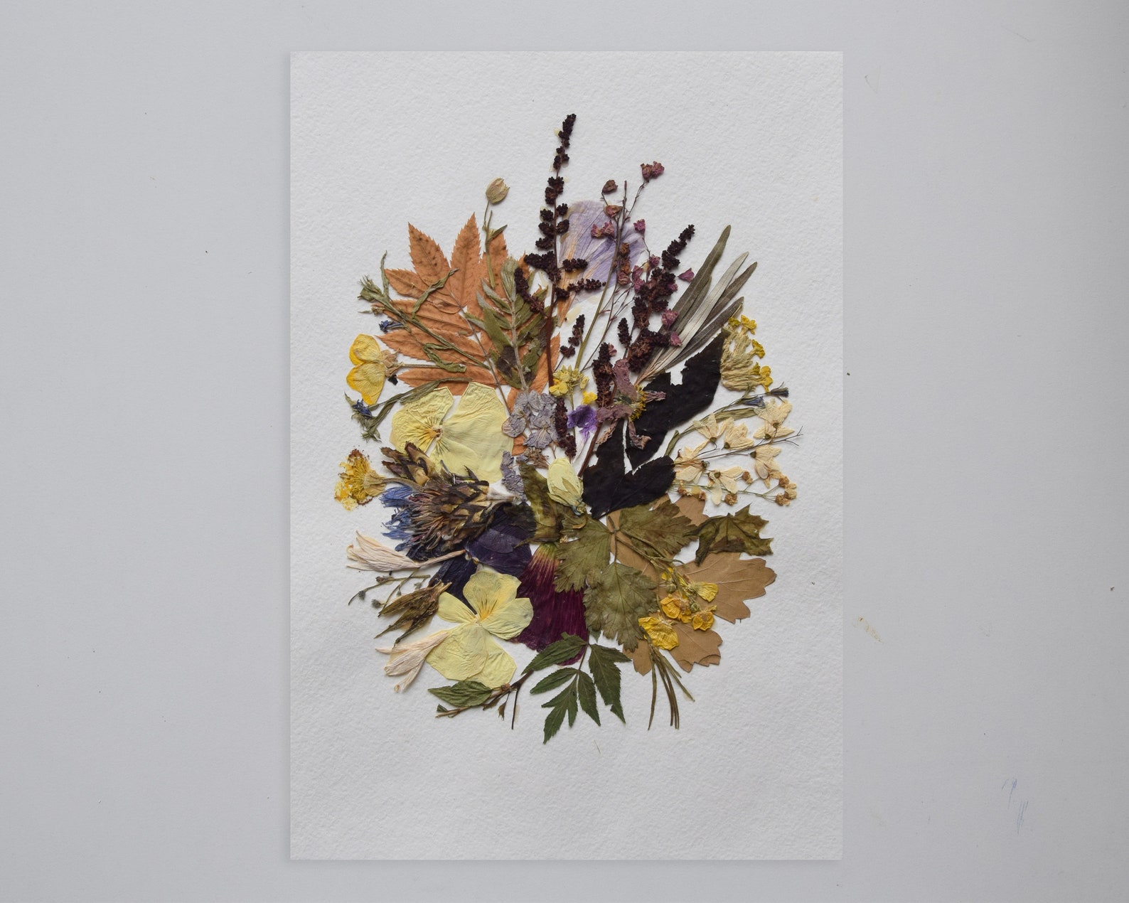 Dried Flower Art Pressed Flower Art Flower Wall Art Decor - Etsy