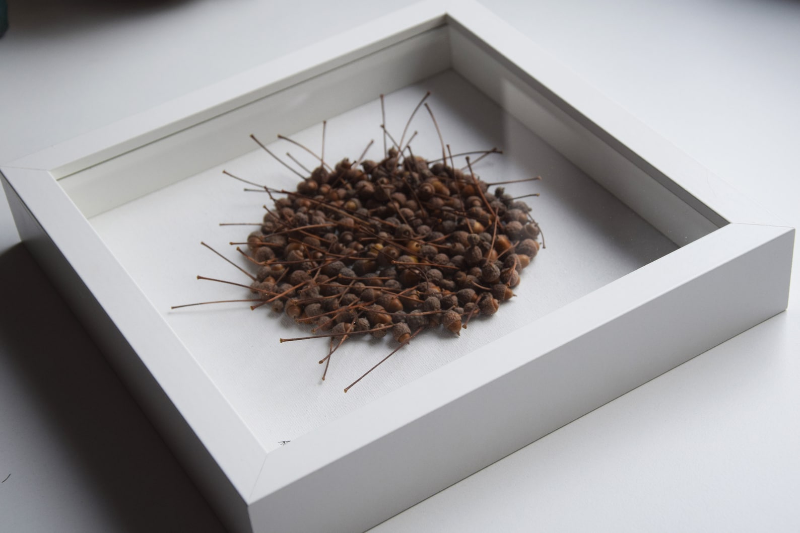 Framed Art Nature Floral Picture Framed Art Nature Original Collage ...