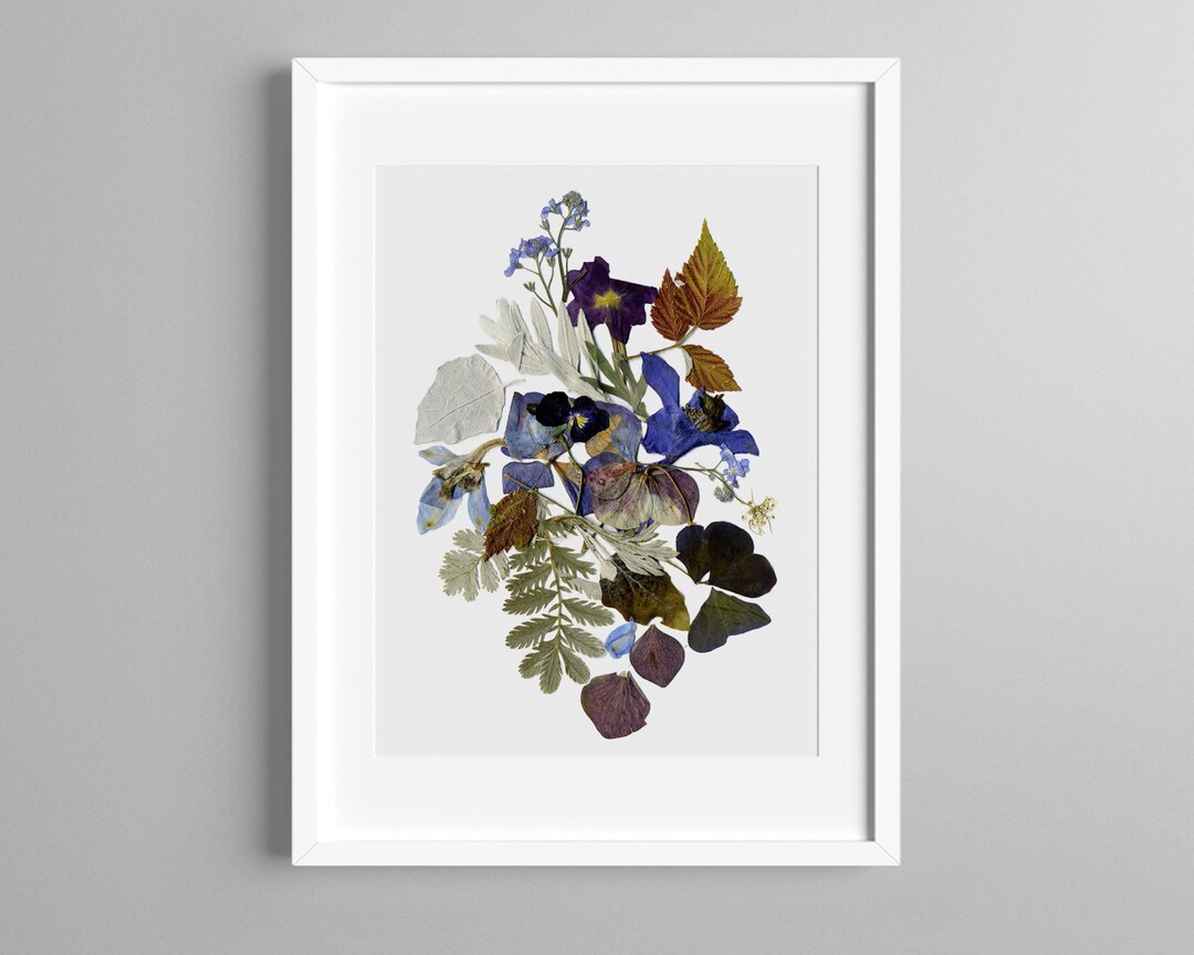 Print Botanical Print 5''x7'' Flower Prints Wall Art Dried Flowers ...
