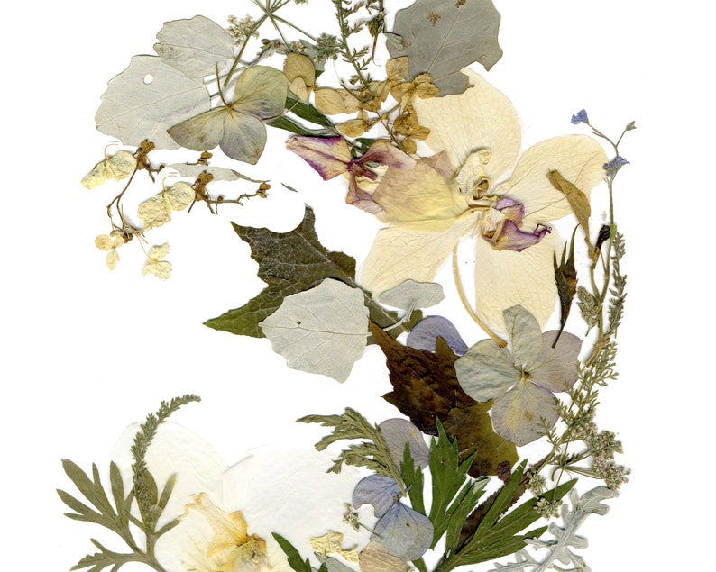 Floral Prints A4 Unframed Boho Flowers Print Set Pressed - Etsy