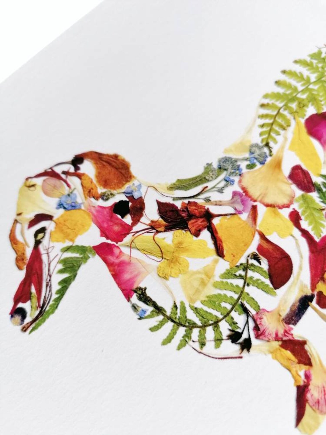 Dog Wall Art Print Teckel Print Pressed Flower Art Floral - Etsy