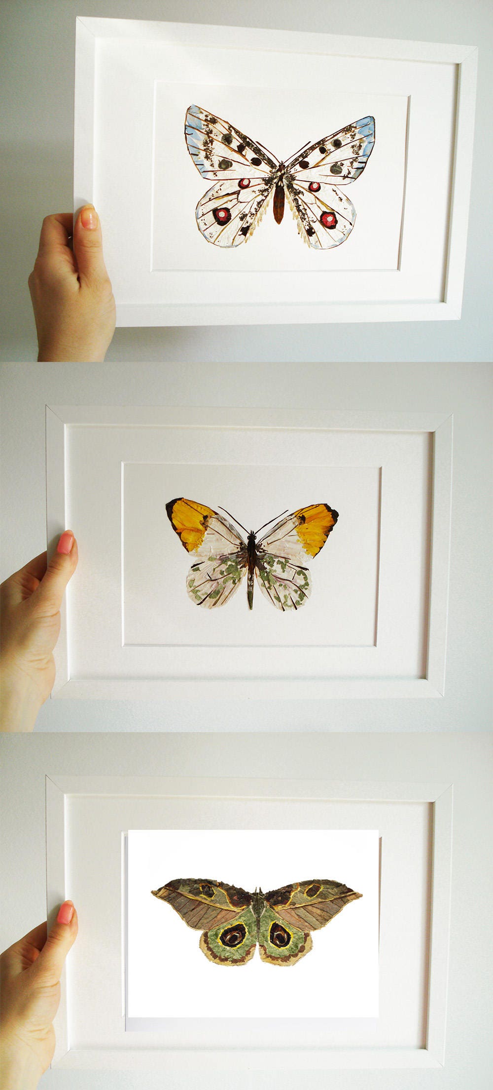 Butterfly wall art print Dried flowers Butterfly wall decor | Etsy