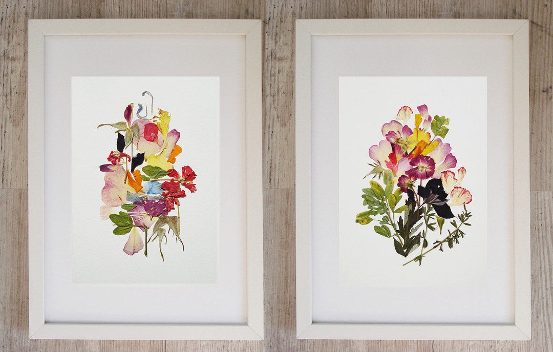 Framed Set of 2 Botanical Print Dry Flower Art Botanical Art Framed ...