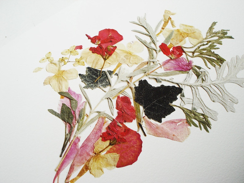 Flower Print Pressed Flowers Print Botanical Print Dried Flowers Wall ...
