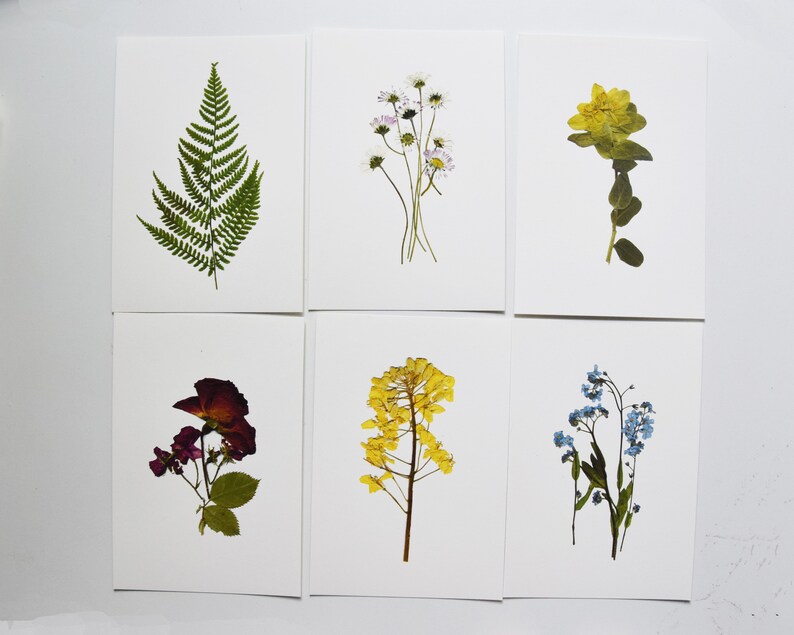 Botanical Set of 15 Herbarium Prints Wall Art Set Dried - Etsy