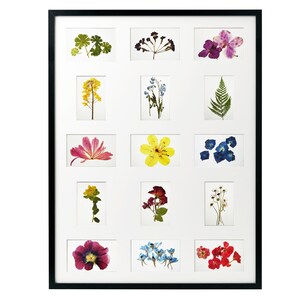 FloralCollage - Etsy