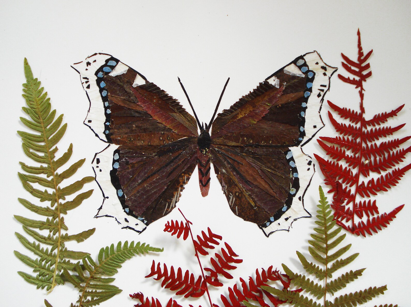 Butterfly wall art print Dried flowers Butterfly wall decor | Etsy