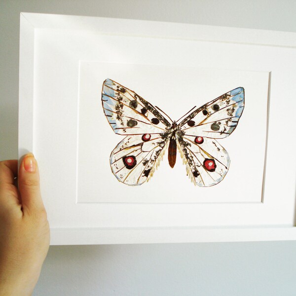 Dried Butterflies - Etsy